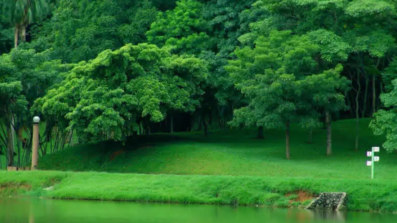 Itinerario para Viajar a Tabasco | ¿Qué Ver y Hacer?